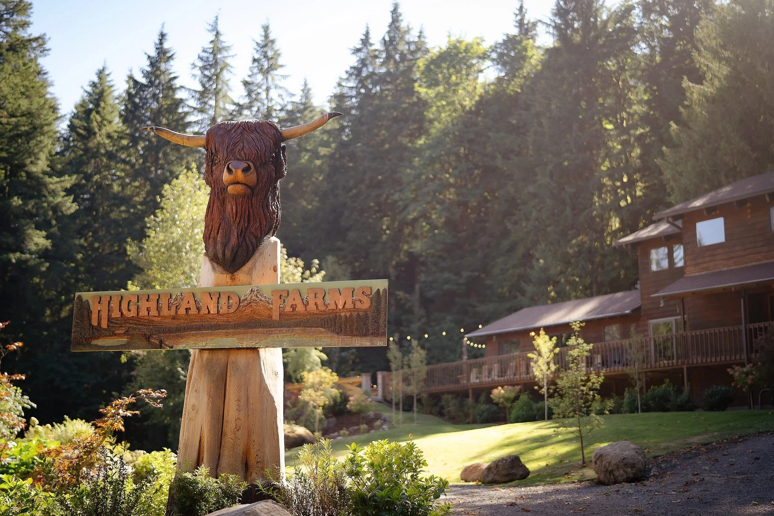 Highland Cow Farm Tours — Brightwood, Oregon | Highland Farms Oregon